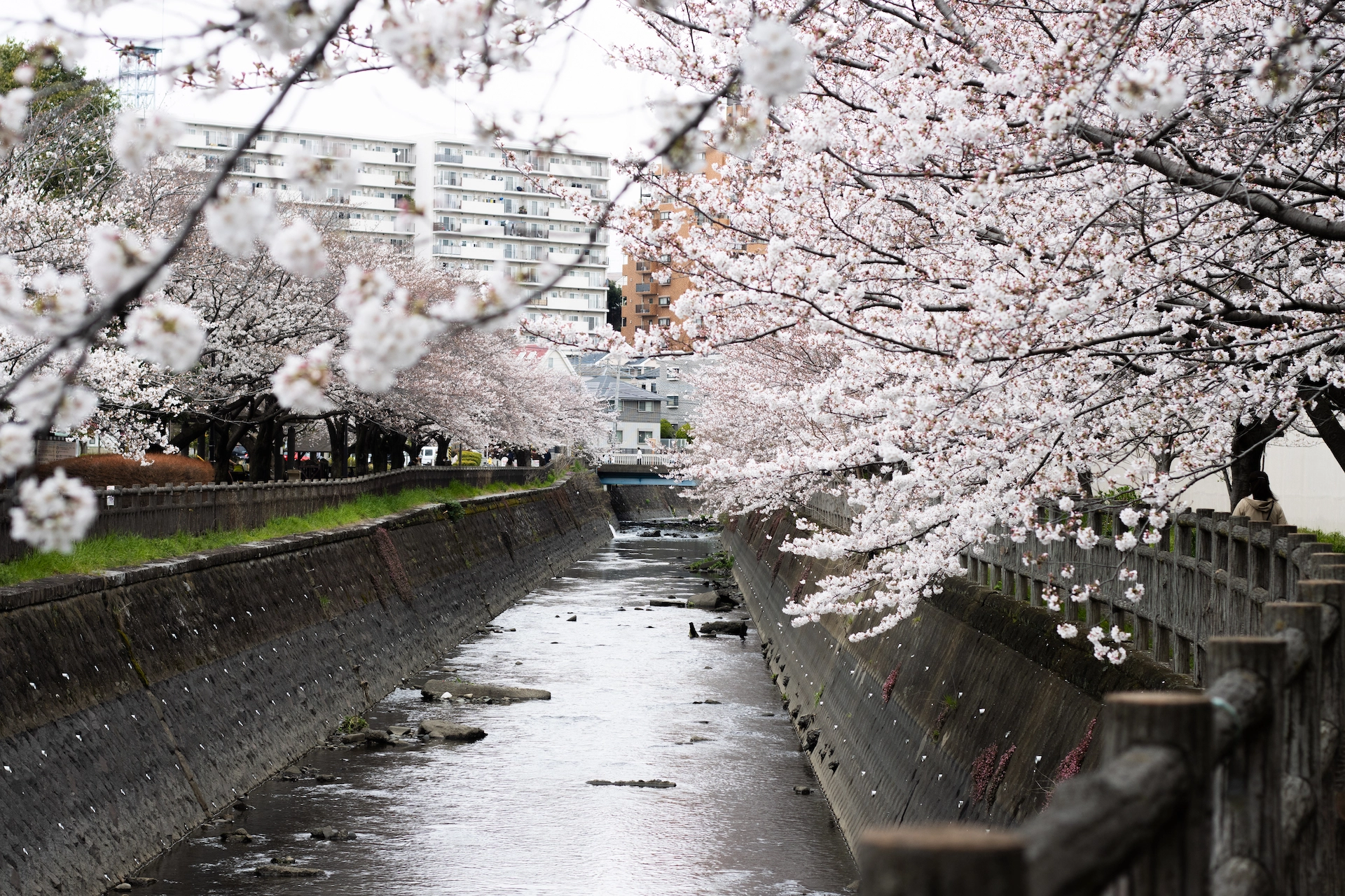 Threshold Is Making A New Website – Threshold